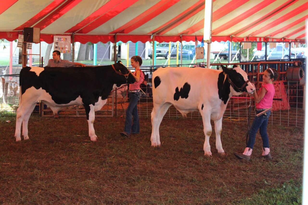 Exhibit Info | The Denver Fair